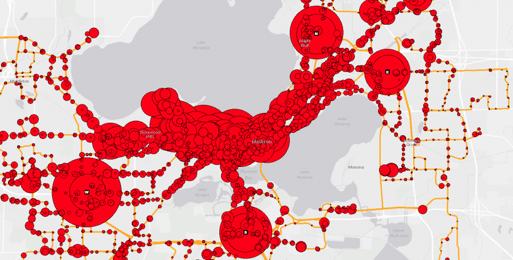 The What and Why of GeoBI